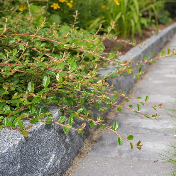 Flisby Kantsten granit huggen, grafit - Villalivet.se